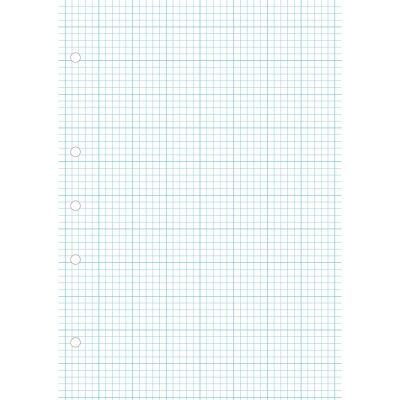 14J8 Refill Pad Warwick Loose Leaf Quad 5mm 210x297mm A4 40 Leaf | Kiwi ...