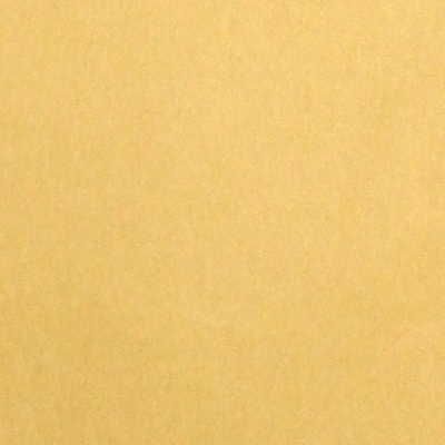 Coloured Paper Spicers Gold - Metallic A4 285gsm 50 Sheets | Kiwi Office